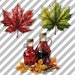 Assorted Canada Day Clipart Illustrations. Canadian Clipart Bundle ...