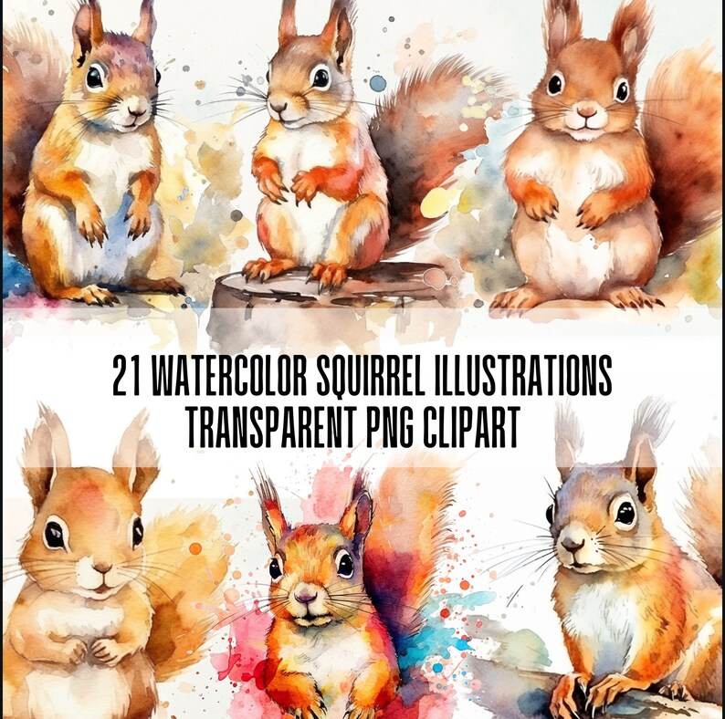 Watercolor Squirrel Clipart PNG Bundle. Transparent PNG. Commercial Use ...