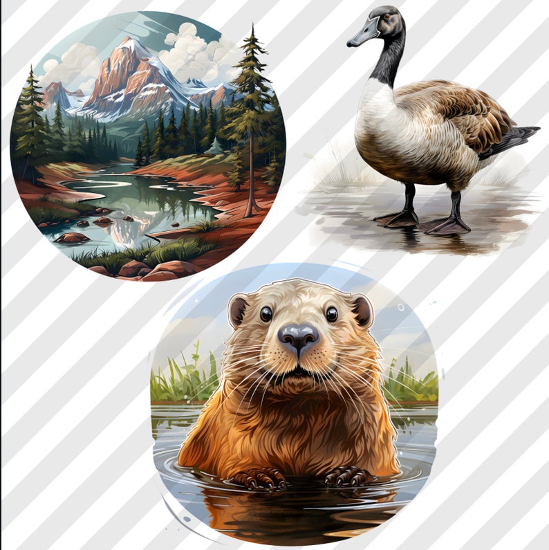 Assorted Canada Day Clipart Illustrations. Canadian Clipart Bundle ...