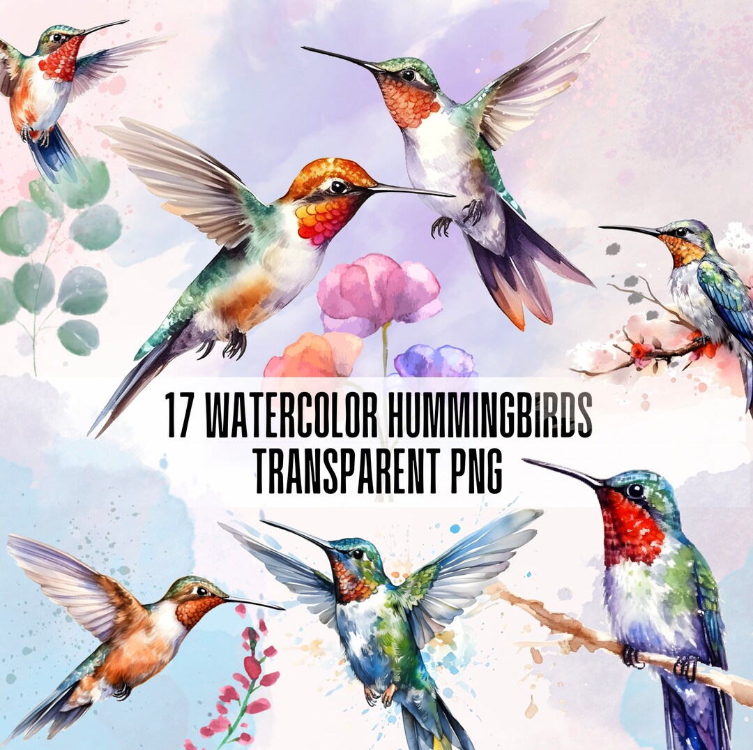 Watercolor Hummingbird 17pc Transparent Clipart PNG Bundle. Commercial ...