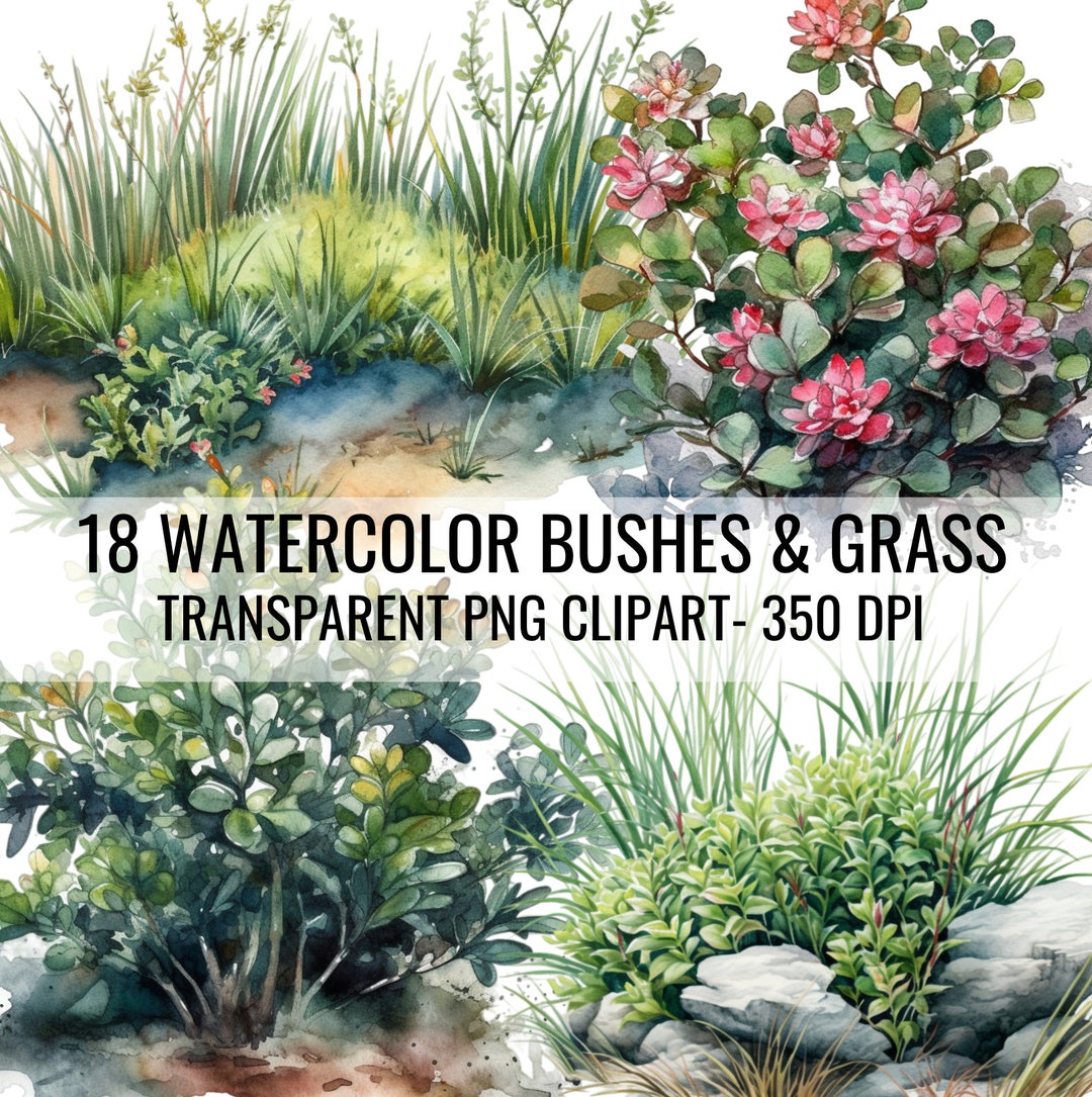 Watercolor Grass and Bushes Clipart PNG Bundle Commercial Use ...