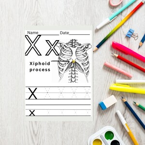 Anatomy ABC Workbook for Curious Young Minds: Fun and Educating Writing ...