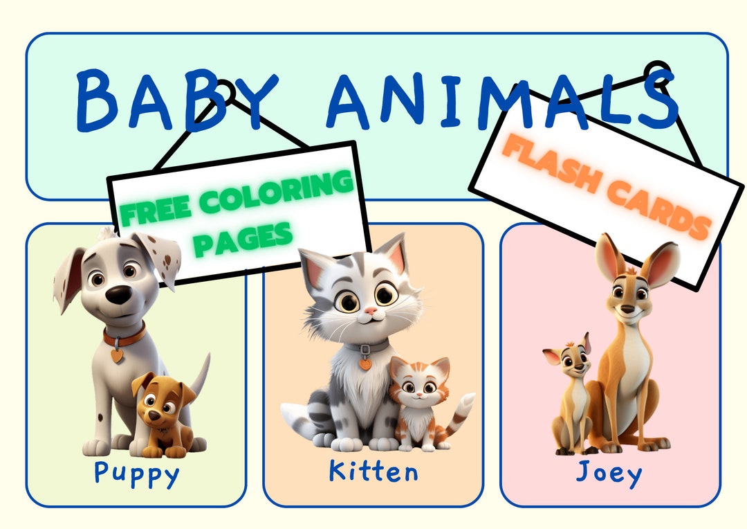 Baby Animal Flashcards for Kids | Vocabulary Cards for School | Animal ...