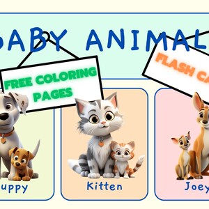 Baby Animal Flashcards for Kids | Vocabulary Cards for School | Animal ...