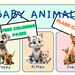 Baby Animal Flashcards for Kids | Vocabulary Cards for School | Animal ...