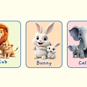 Baby Animal Flashcards for Kids | Vocabulary Cards for School | Animal ...