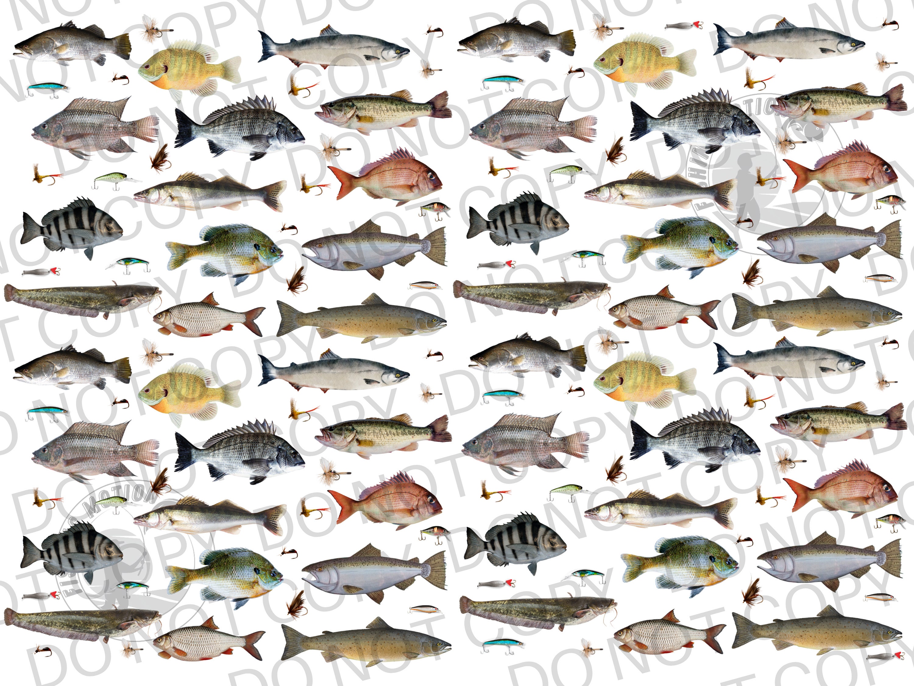 Fresh Water Fish Pattern Realistic Fish & Lures Flys PNG Graphic ...