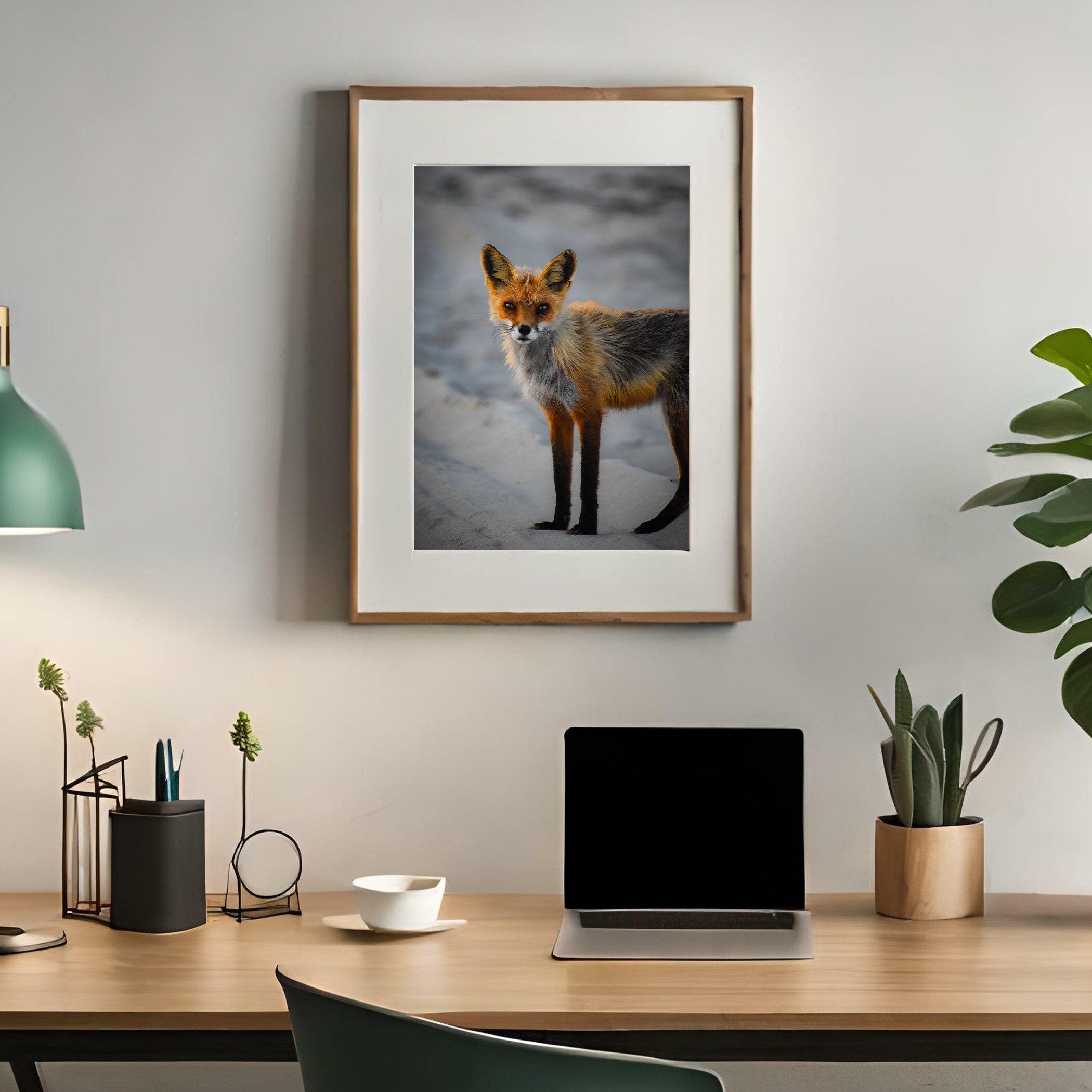 Wildlife Photography Print - Red Fox - Etsy