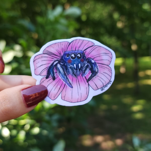 Spider Sticker - Etsy