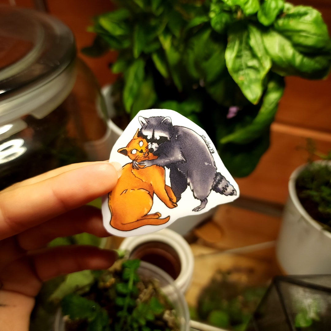 Cat and Raccoon Hug Sticker - Etsy
