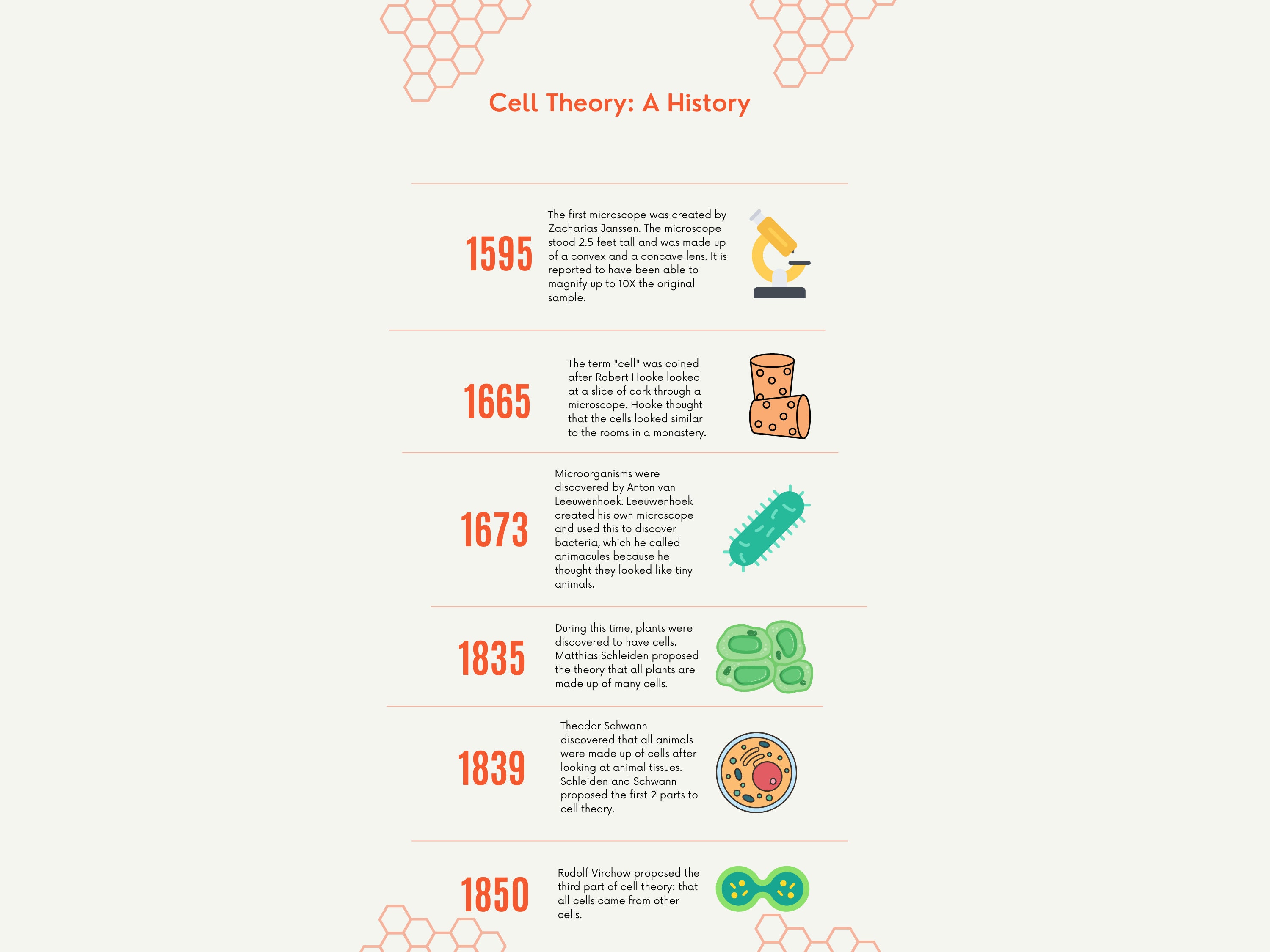 Cell Theory Timeline 1673