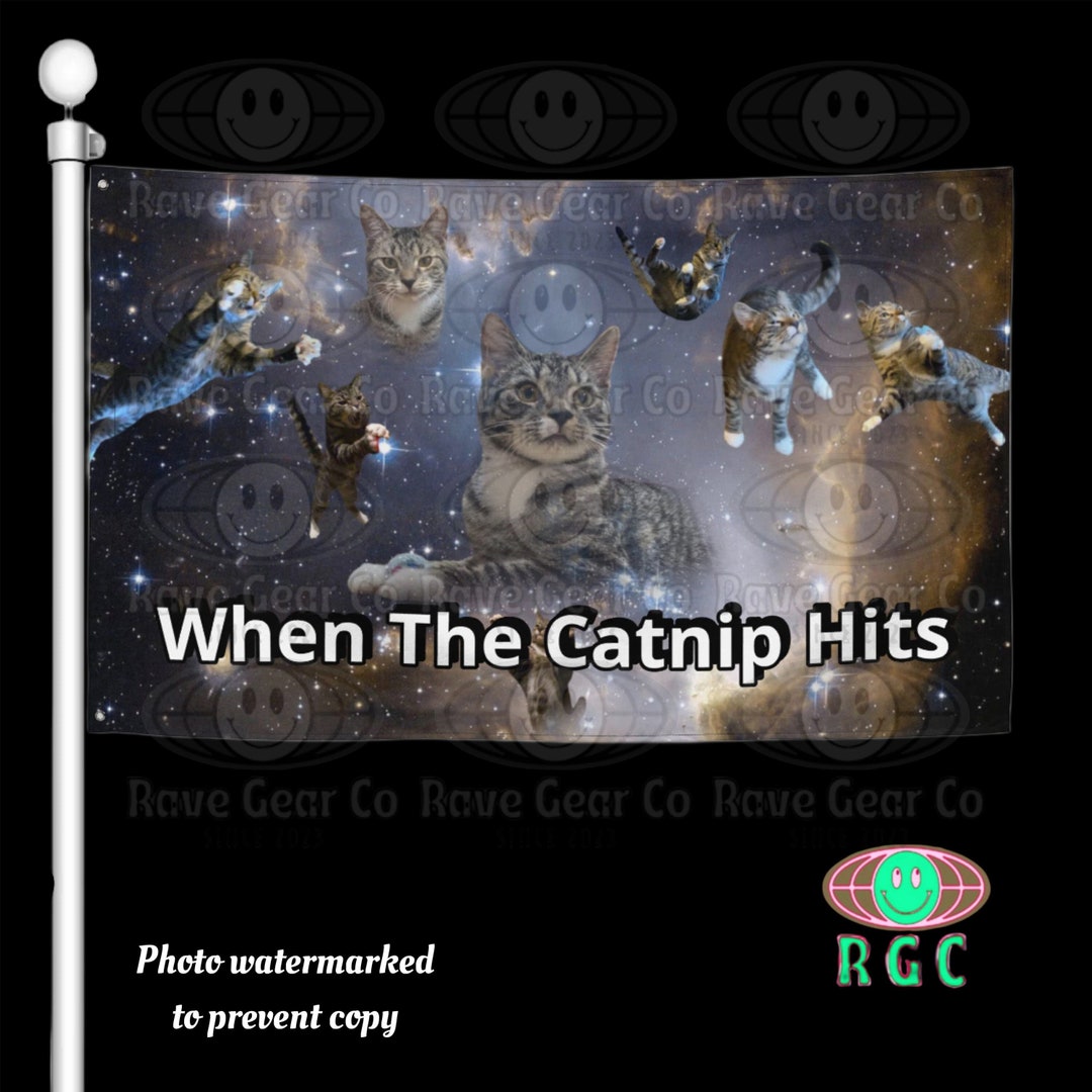 When the Catnip Hits Festival Flag | Space Kitty Rave Flag | Festival ...