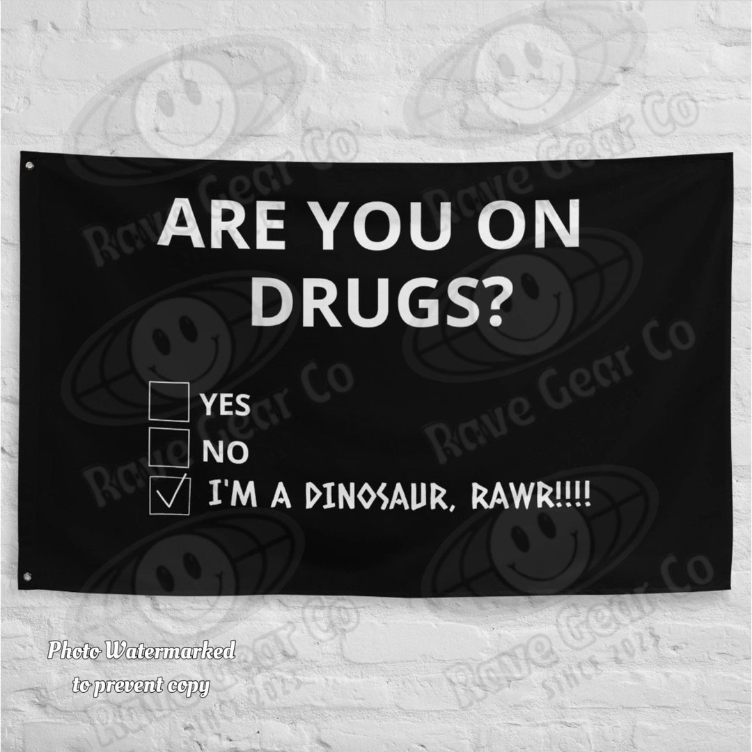 I'm a Dinosaur Rawr Festival Flag | Festival Totem | Rave Flag | Funny ...