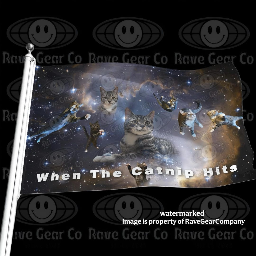 When the Catnip Hits Festival Flag | Space Kitty Rave Flag | Festival ...