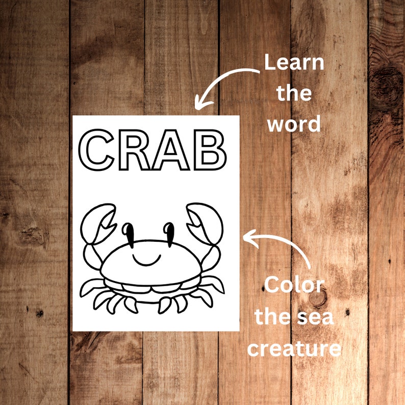 Sea Creature Coloring Pages, Under the Sea, Ocean Animal, Sea Creature ...