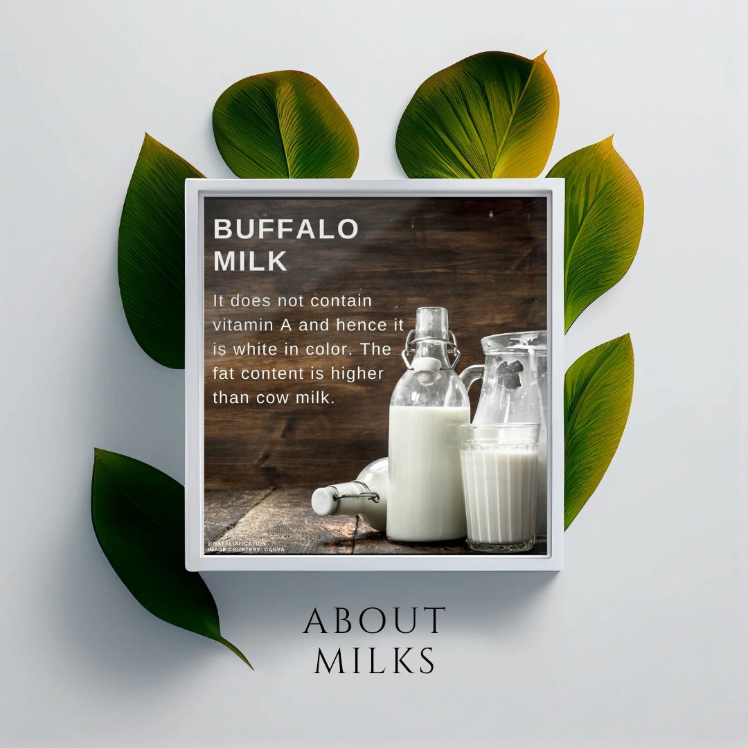 Milks Digital Poster Educational Poster for Download Digital - Etsy