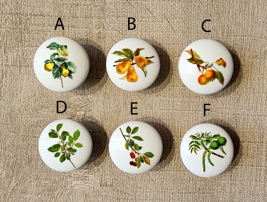 Hand Drawn Fruit Trees Kitchen Knobs / Custom Kitchen Cabinet Knobs ...