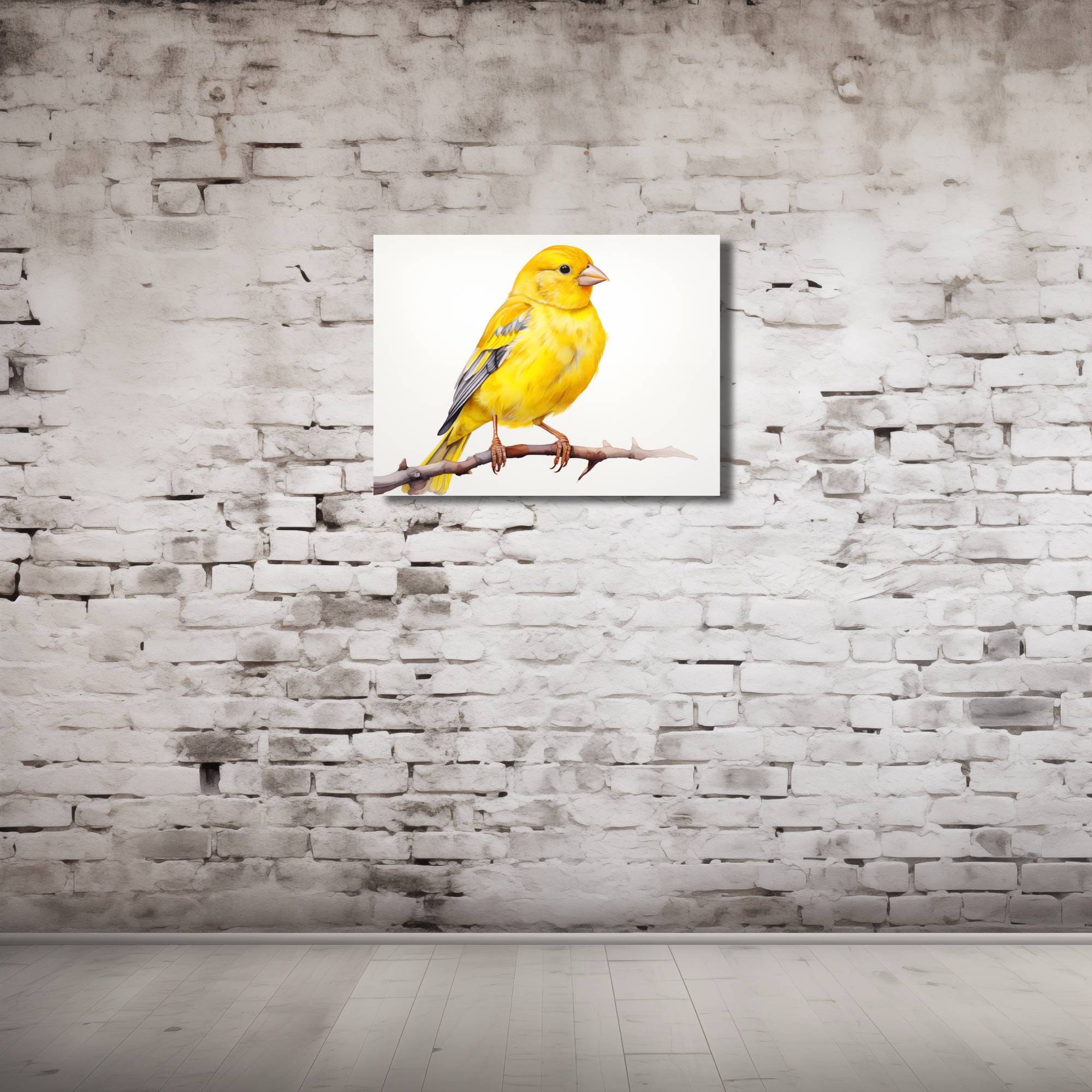 Canary Watercolor Painting - Digital Art Print on White Background ...