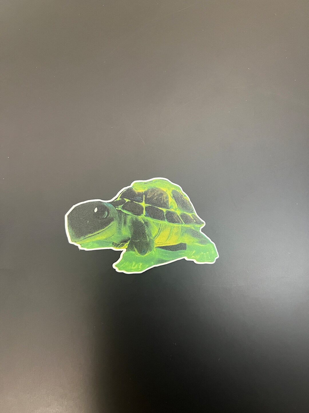 Baby Turtle Sticker - Etsy