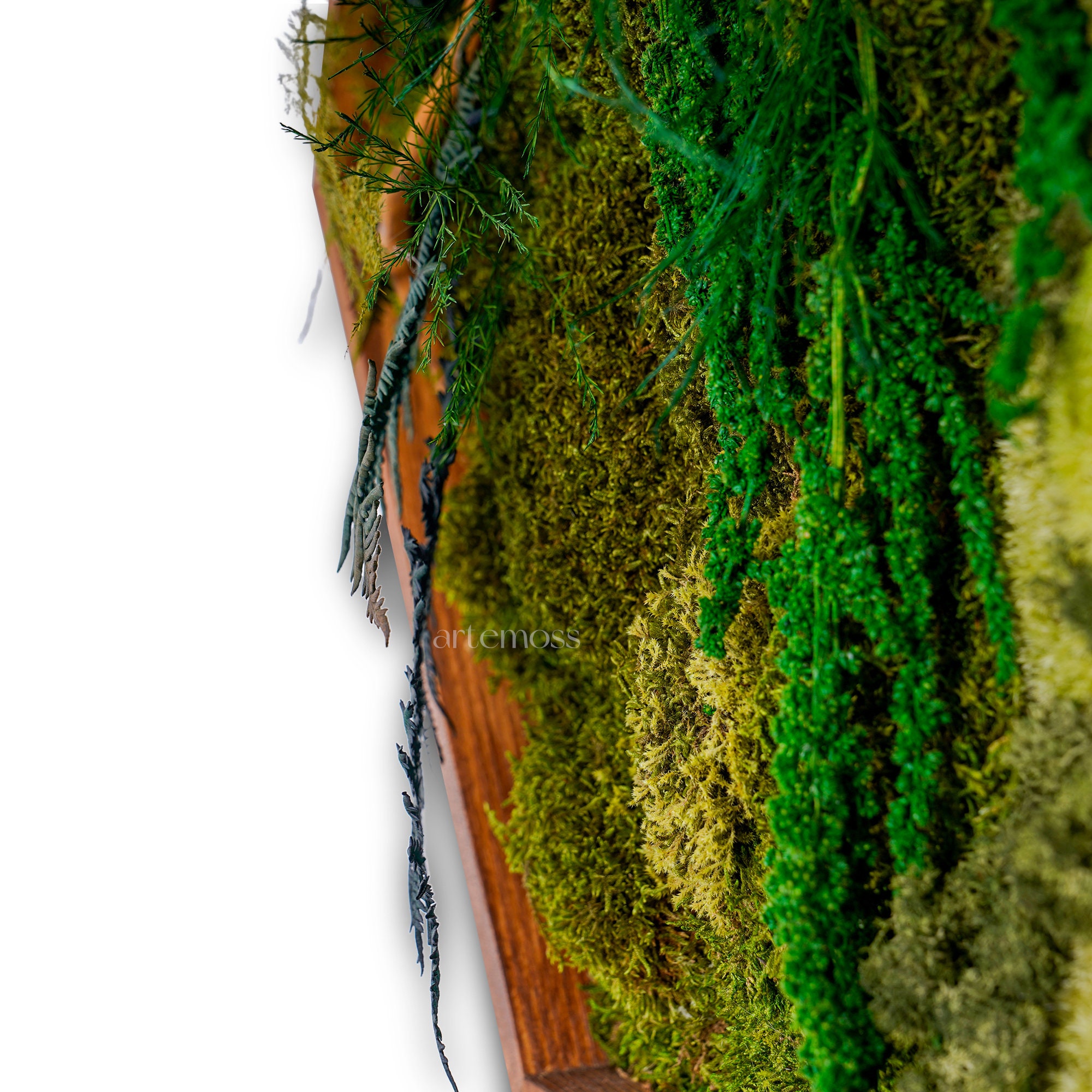 BIG Moss Hexagon Wall Panels Made With Real Moss No Maintenance ...