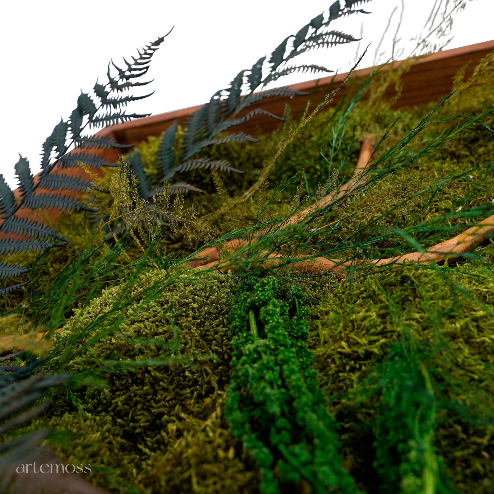 BIG Moss Hexagon Wall Panels Made With Real Moss No Maintenance ...