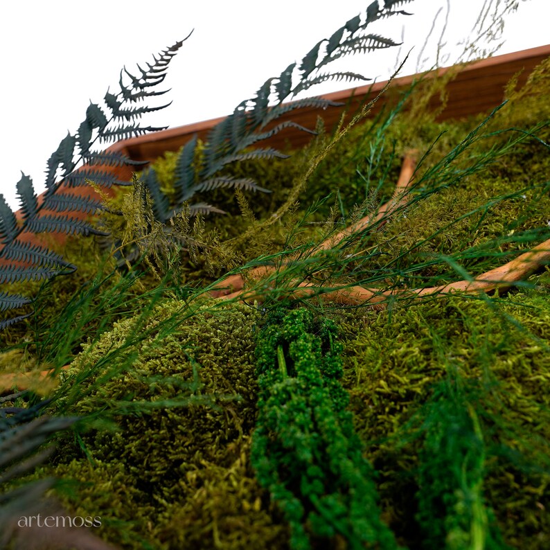 BIG Moss Hexagon Wall Panels Made With Real Moss No Maintenance ...