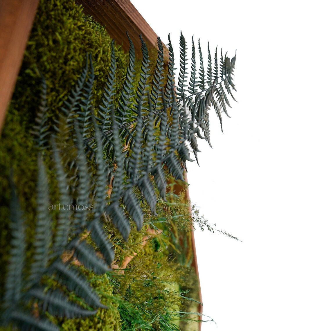 BIG Moss Hexagon Wall Panels Made With Real Moss No Maintenance ...