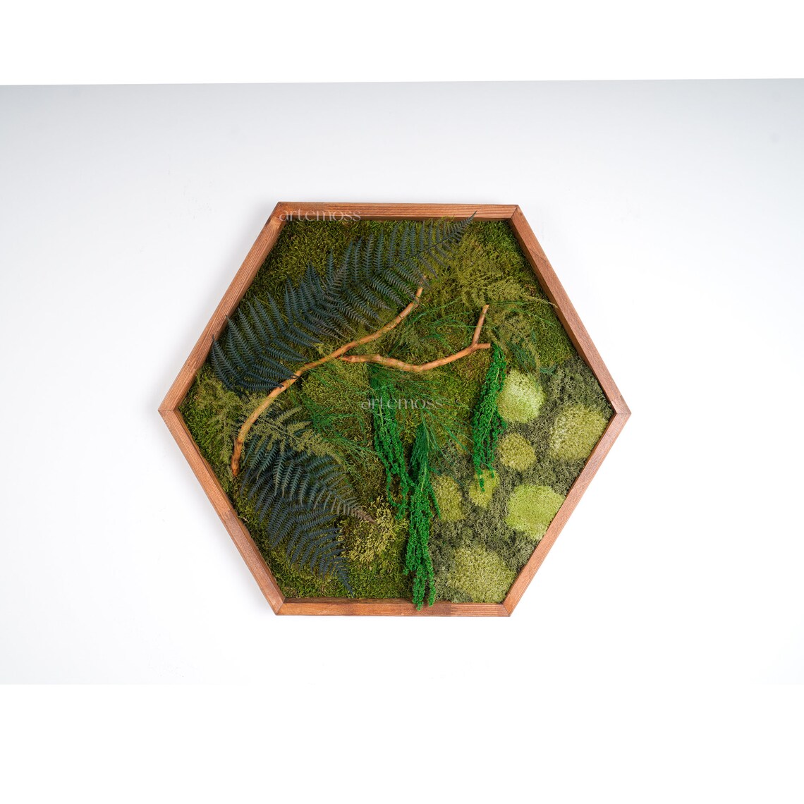 BIG Moss Hexagon Wall Panels Made With Real Moss No Maintenance ...