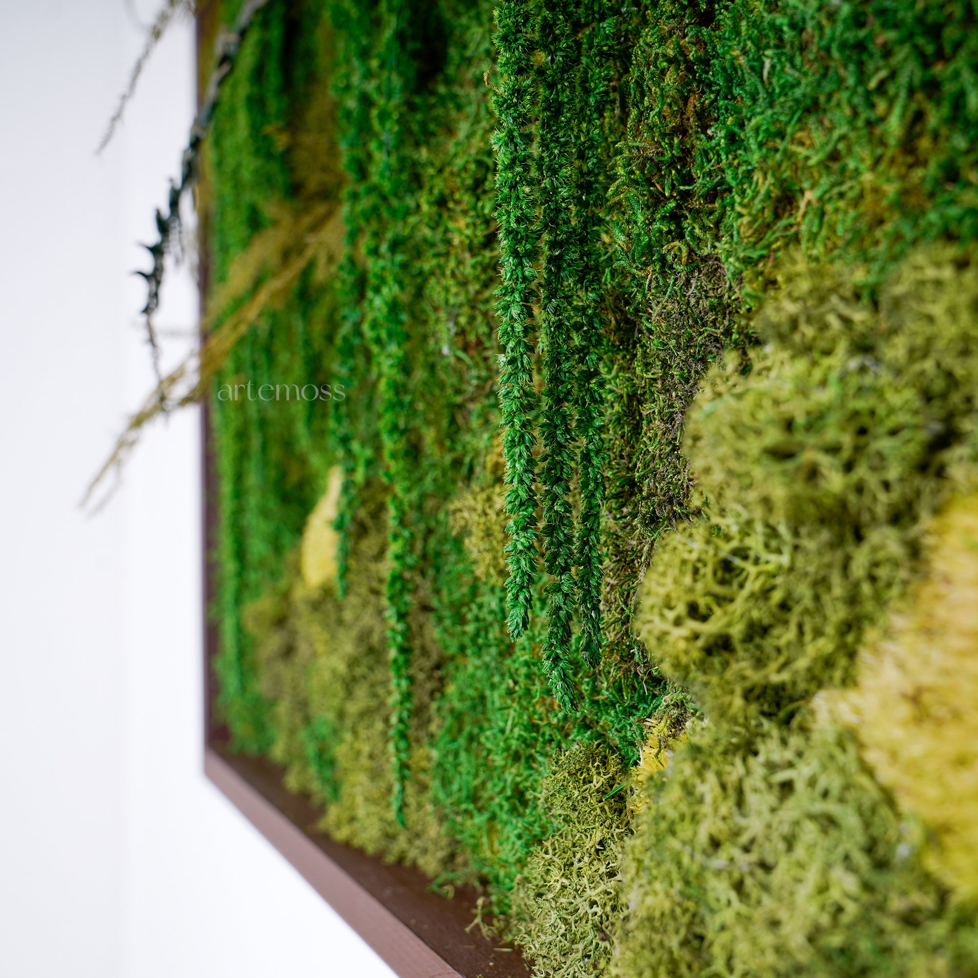 Moss Wall Art Moss Wall Decor Preserved Moss Art Framed Moss Wall Sets ...