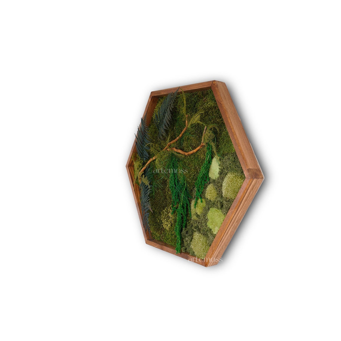 BIG Moss Hexagon Wall Panels Made With Real Moss No Maintenance ...