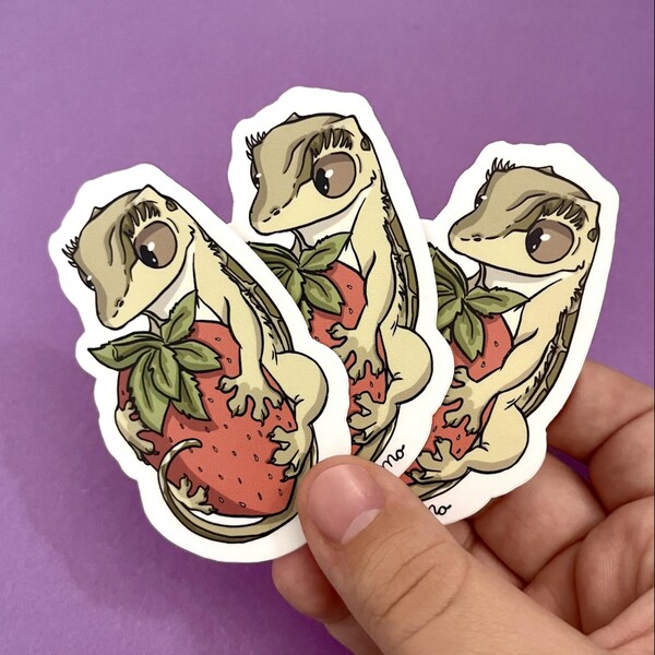 Crested Gecko Decal - Etsy
