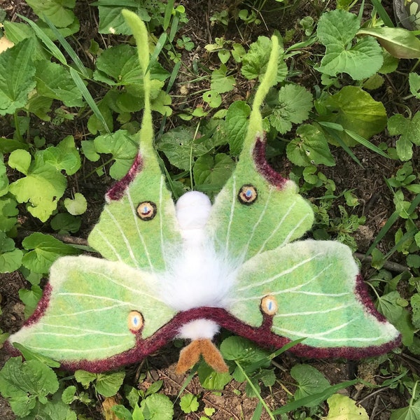 Felt Moth - Etsy