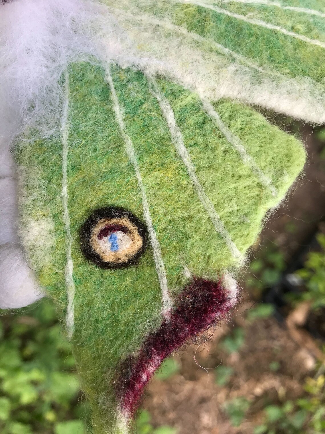 Needle Felted Luna Moth - Realistic - Gift for Entomologists and Bug ...