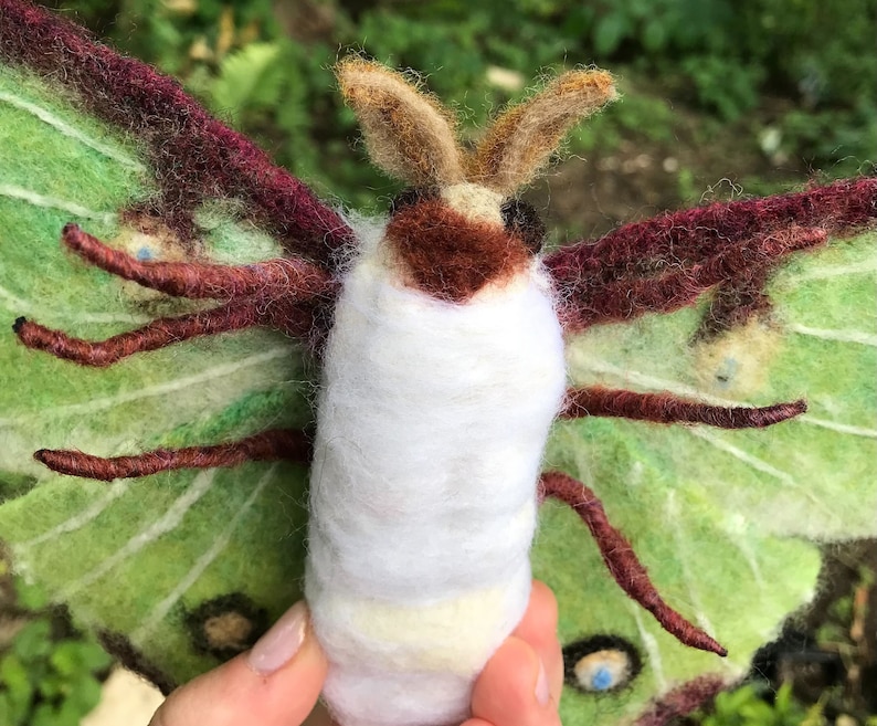 Needle Felted Luna Moth - Realistic - Gift for Entomologists and Bug ...