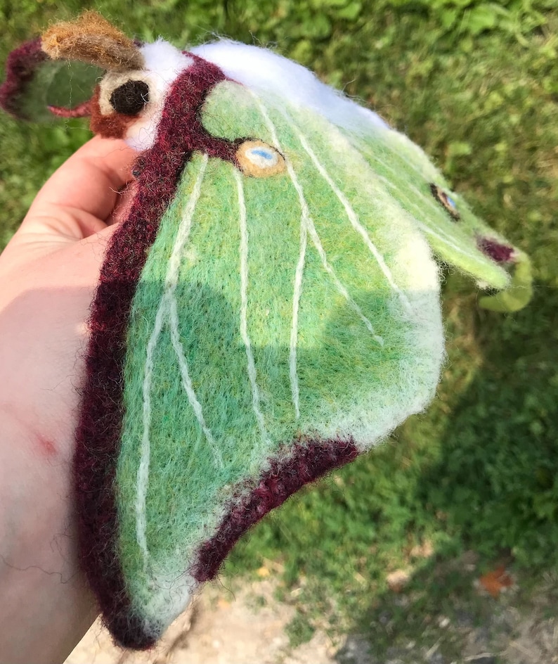 Needle Felted Luna Moth - Realistic - Gift for Entomologists and Bug ...