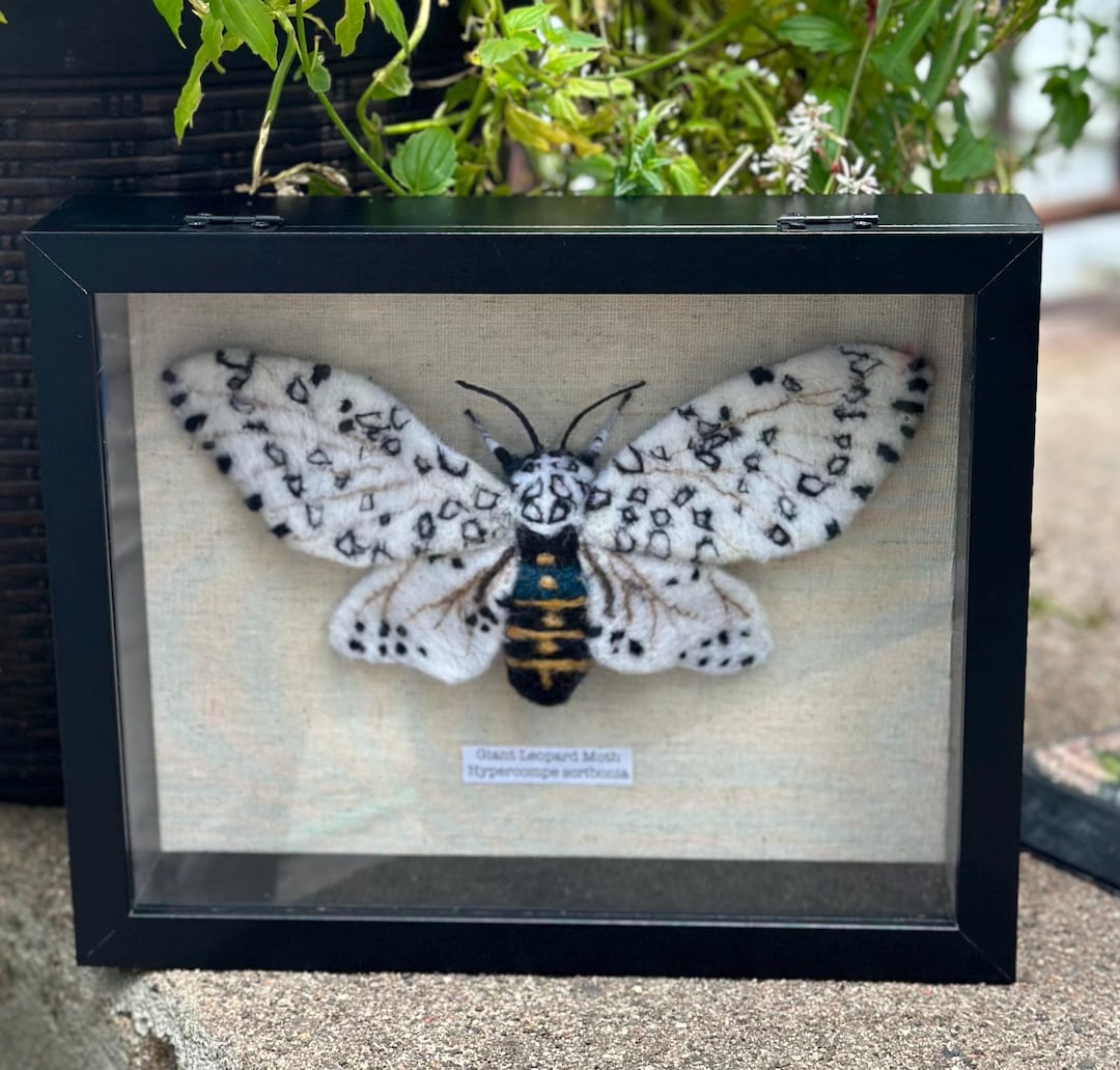 Needle Felted Moth - Leopard Moth - Gift for Bug Lovers - Cute Bug - Etsy