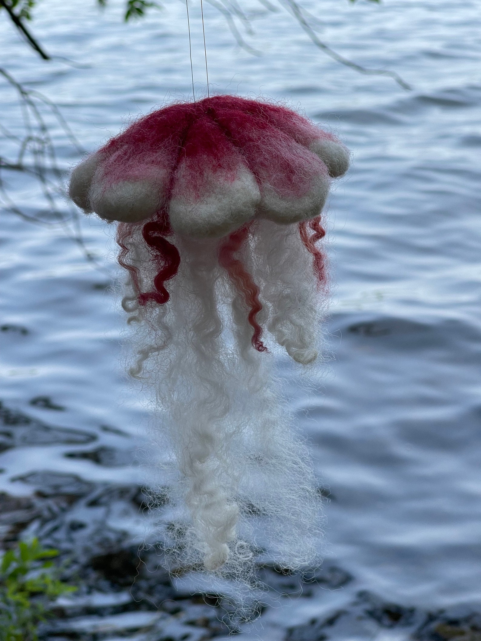 Needle Felted Jellyfish Colorful - Etsy