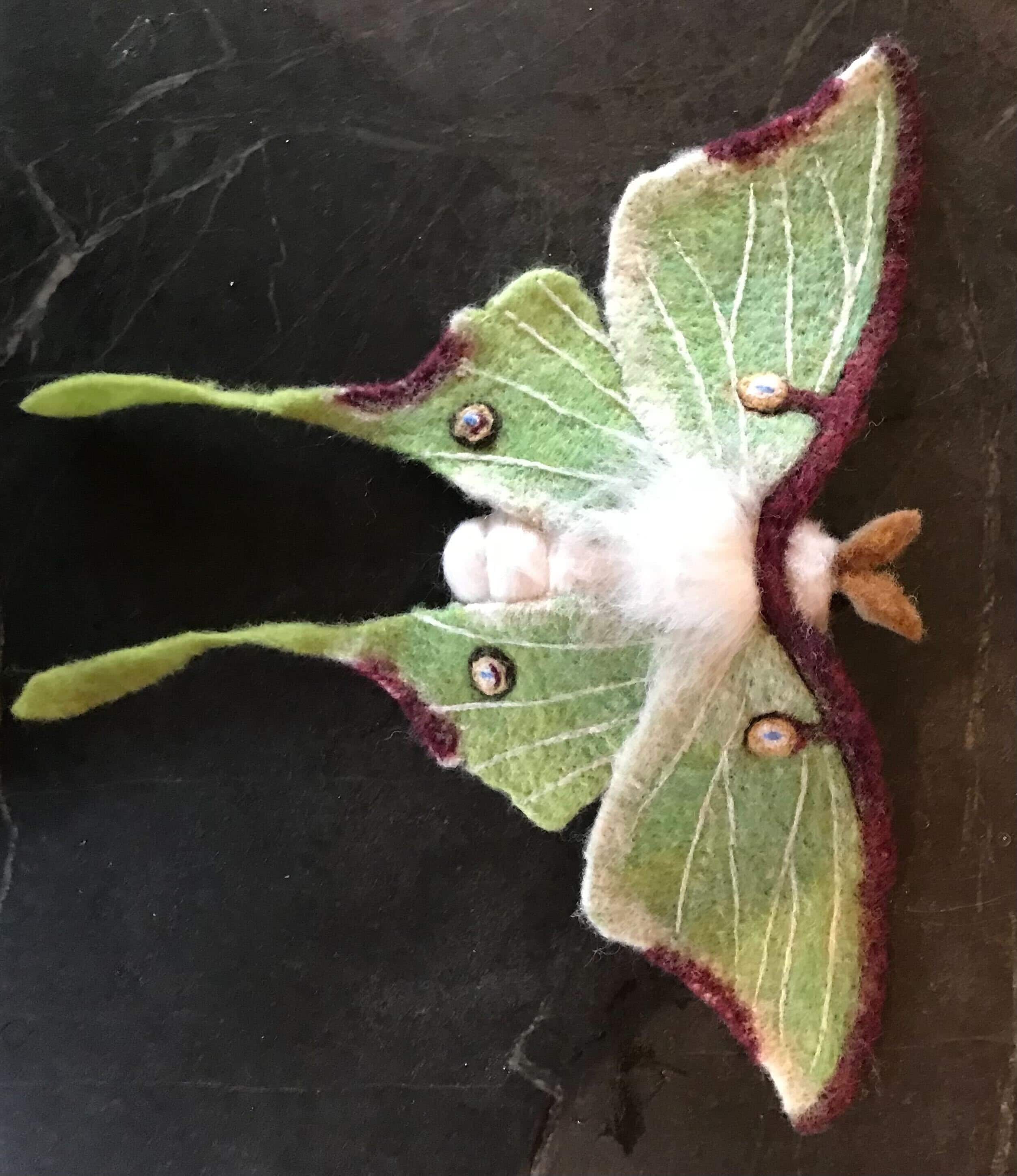 Needle Felted Luna Moth - Realistic - Gift for Entomologists and Bug ...