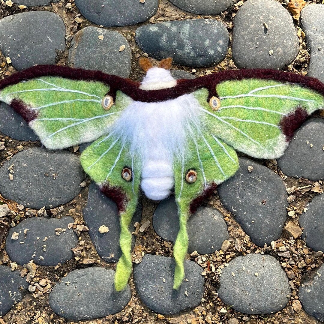 Needle Felted Luna Moth - Realistic - Gift for Entomologists and Bug ...