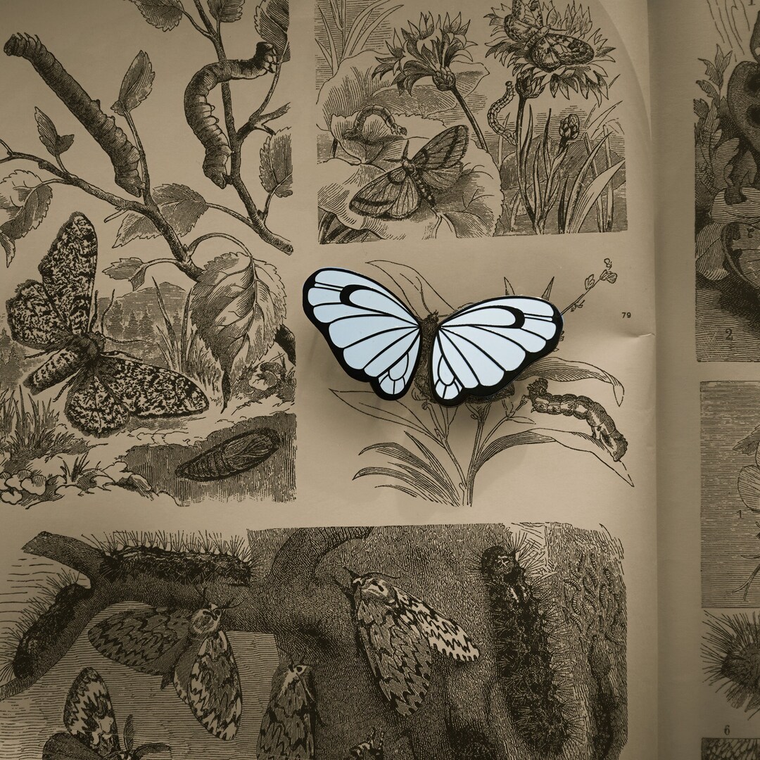 Butterfly Wing Pin Set Aporia Cratafree inspired by Pokemon Butterfree ...