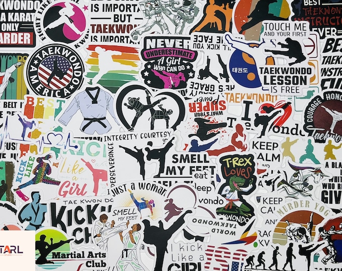 Karate Sticker Pack - Etsy