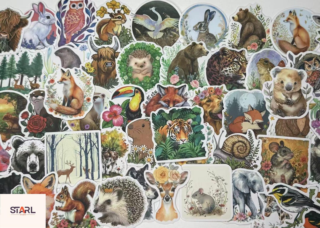 Woodland Animal Stickers Pack Cute Forest Creatures & Wildlife Art ...