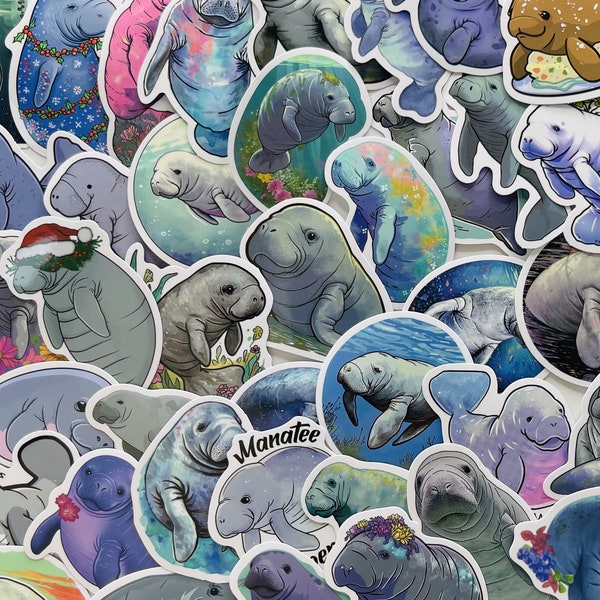 Manatee Gifts - 60+ Gift Ideas for 2026