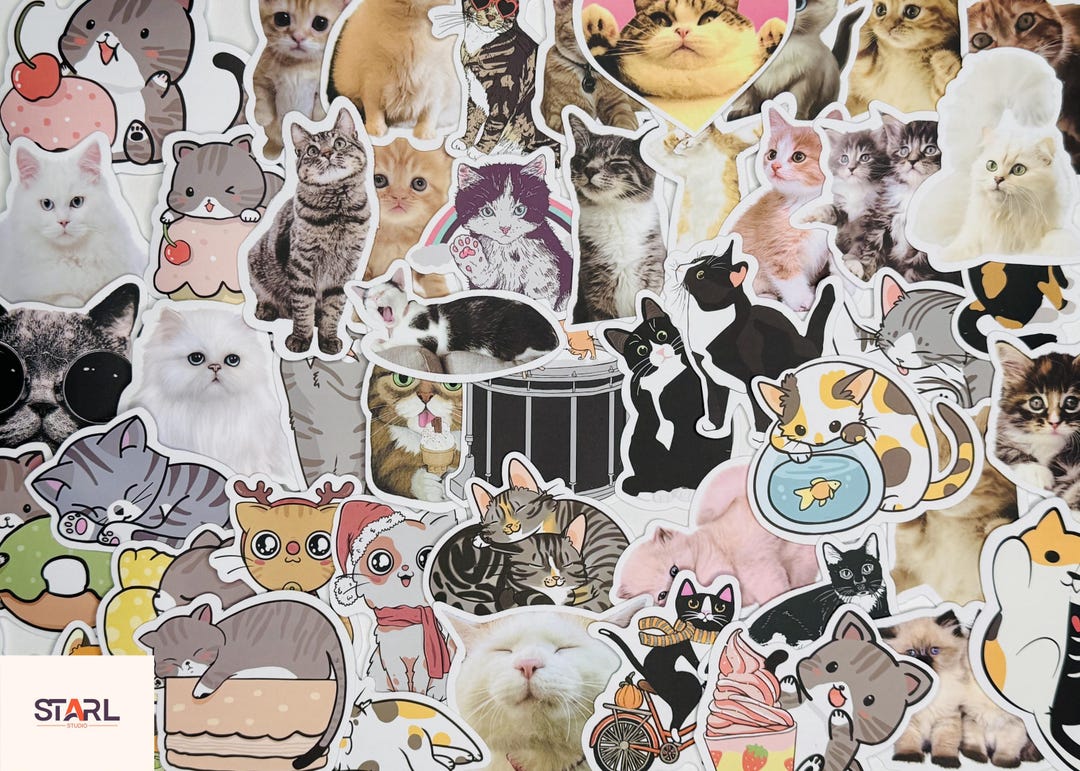 Cat Stickers Pack, Cute Cartoon & Real Photo Cats Mix, Waterproof Vinyl ...