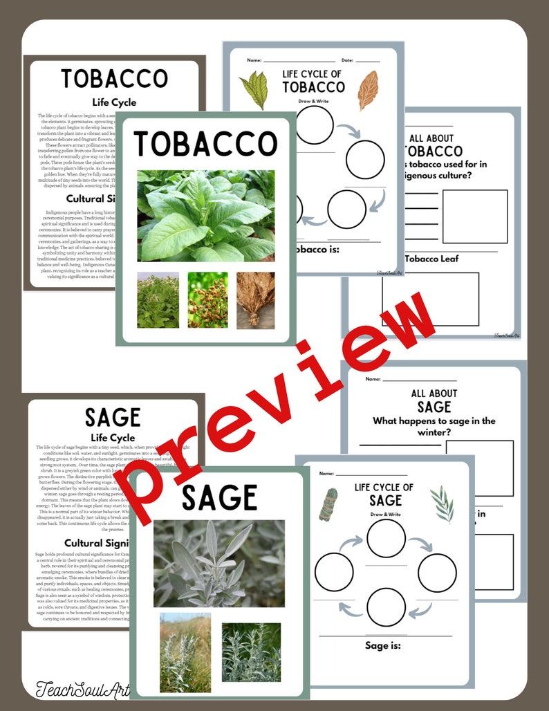 Four Sacred Medicines Life Cycle Unit, Indigenous Education - Etsy Canada