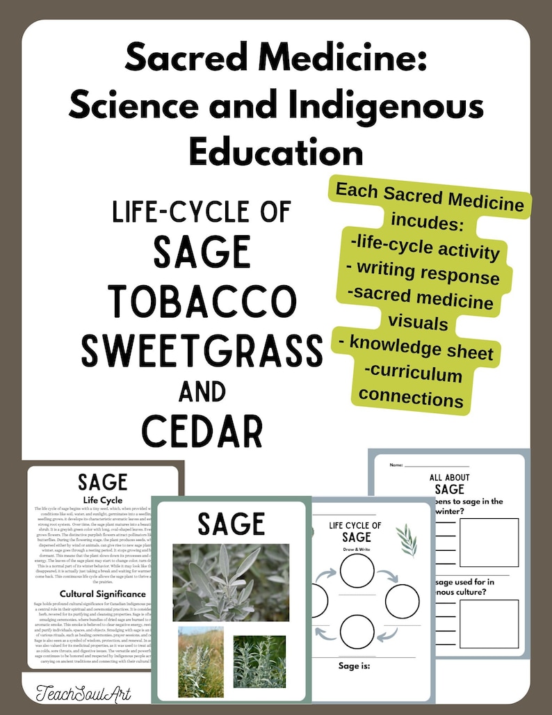 Four Sacred Medicines Life Cycle Unit, Indigenous Education - Etsy