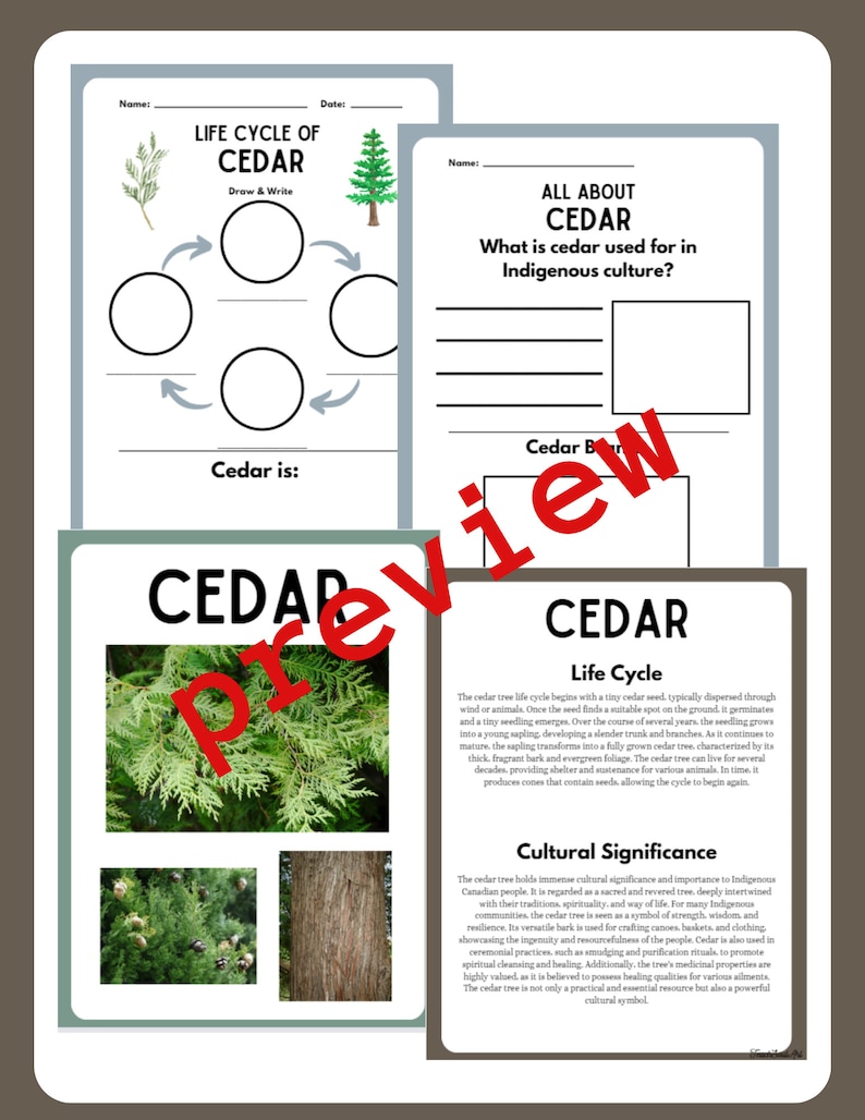 Four Sacred Medicines Life Cycle Unit, Indigenous Education - Etsy