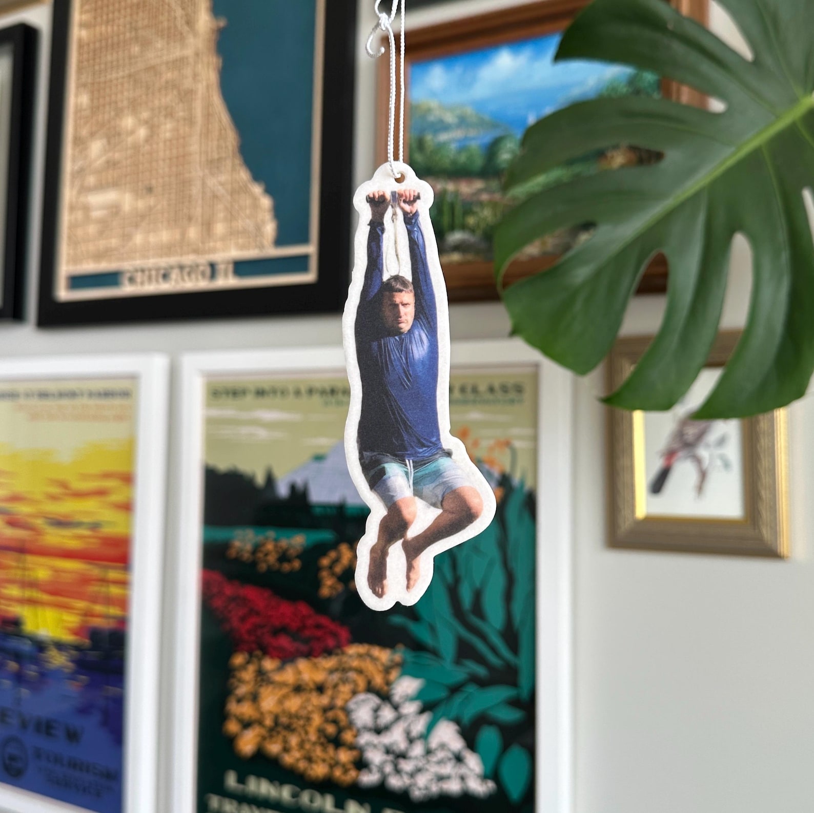 Zipline Ronnie Air Freshener ITYSL I Think You Should Leave With Tim ...