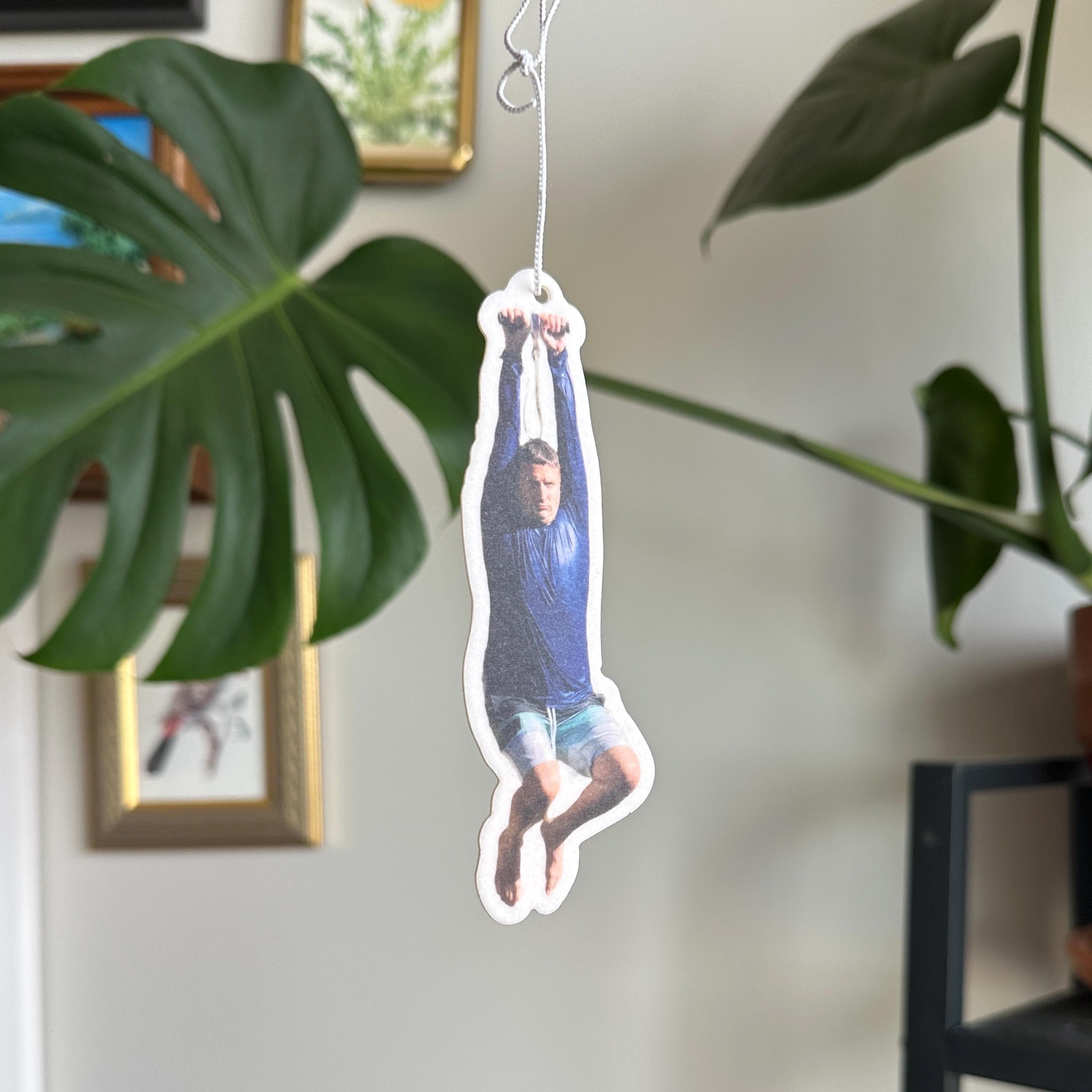 Zipline Ronnie Air Freshener ITYSL I Think You Should Leave With Tim ...