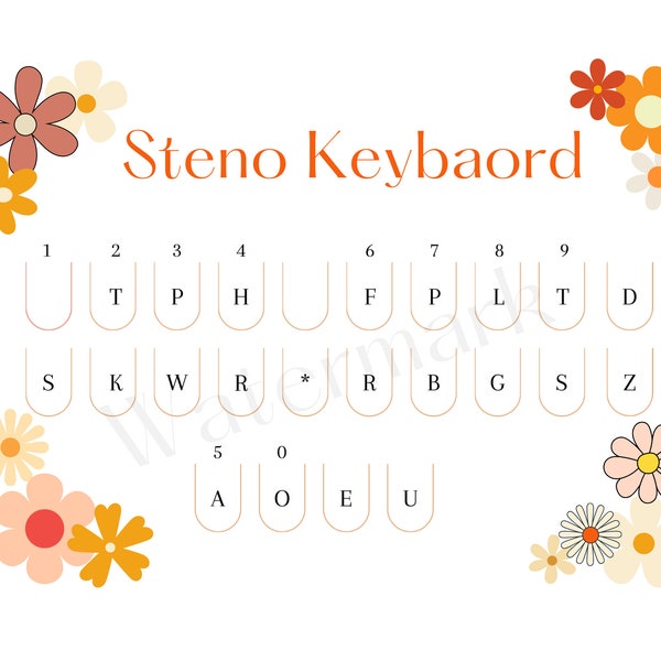 Steno - Etsy
